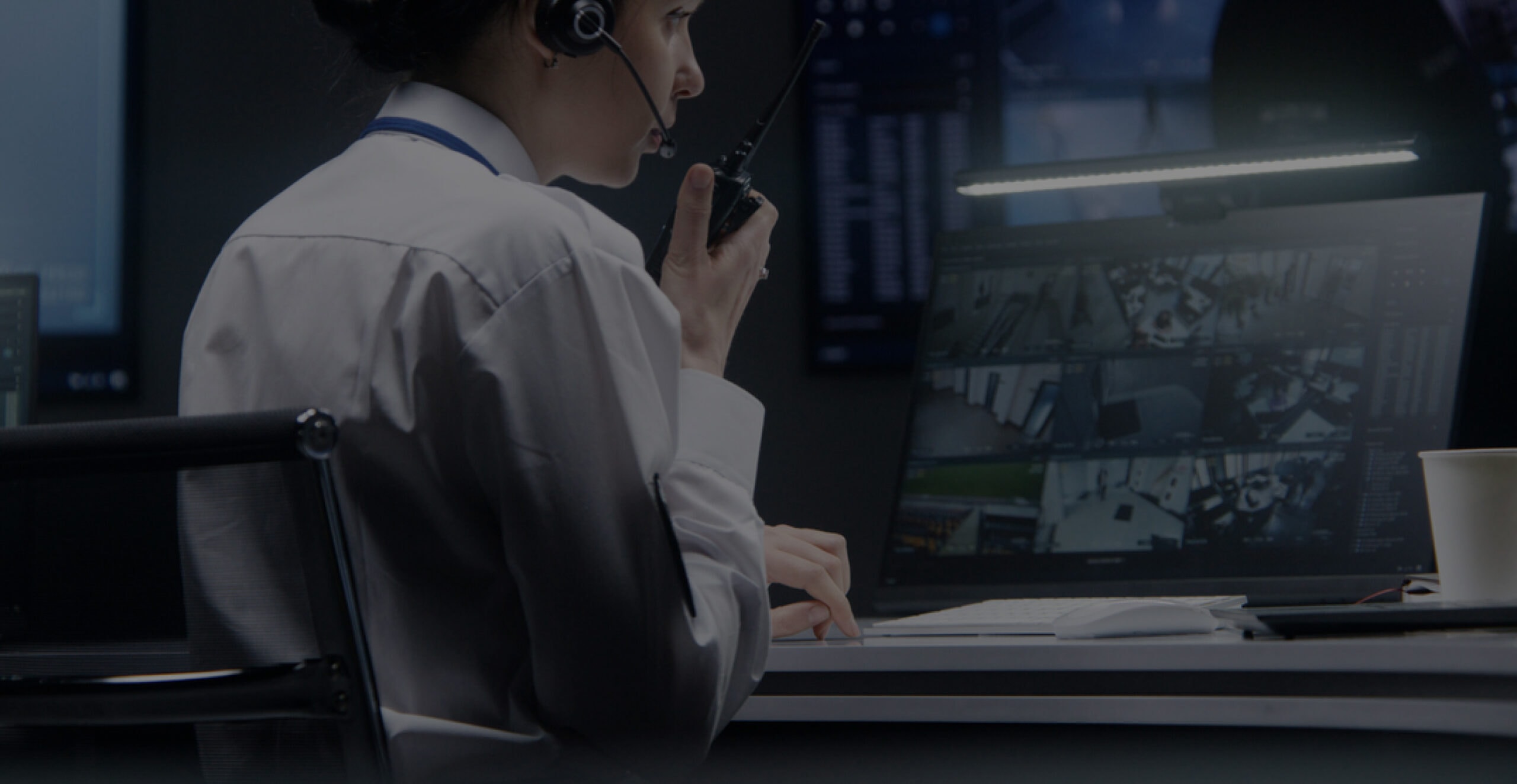 Private Sector Common Operating Picture